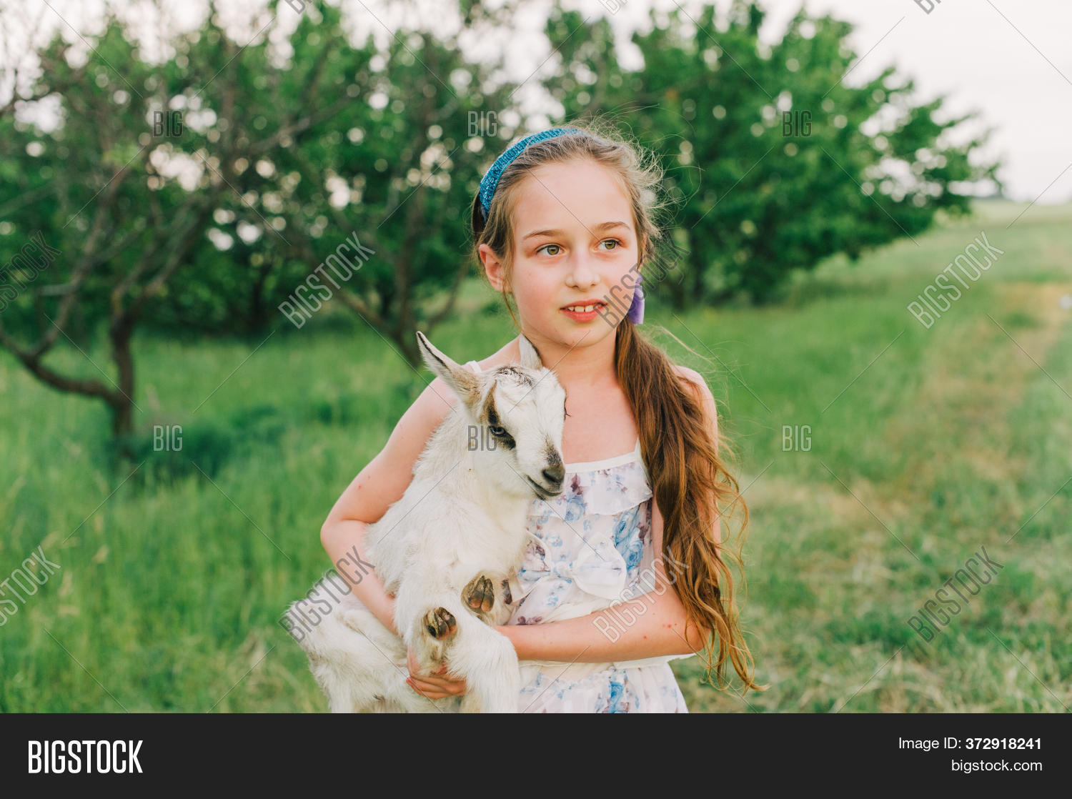 Girl Baby Goat On Farm Image & Photo (Free Trial) | Bigstock
