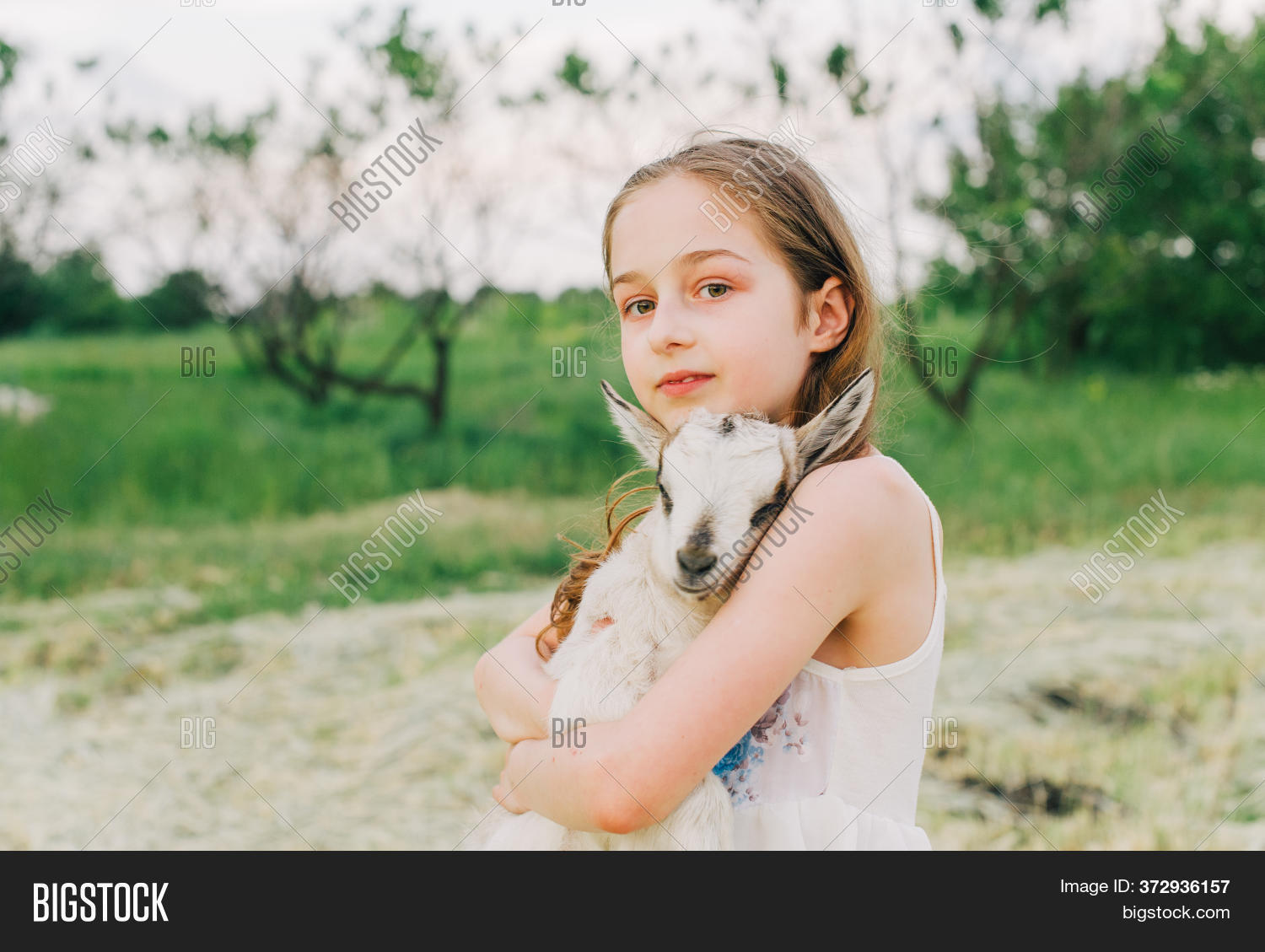 Girl Baby Goat On Farm Image & Photo (Free Trial) | Bigstock