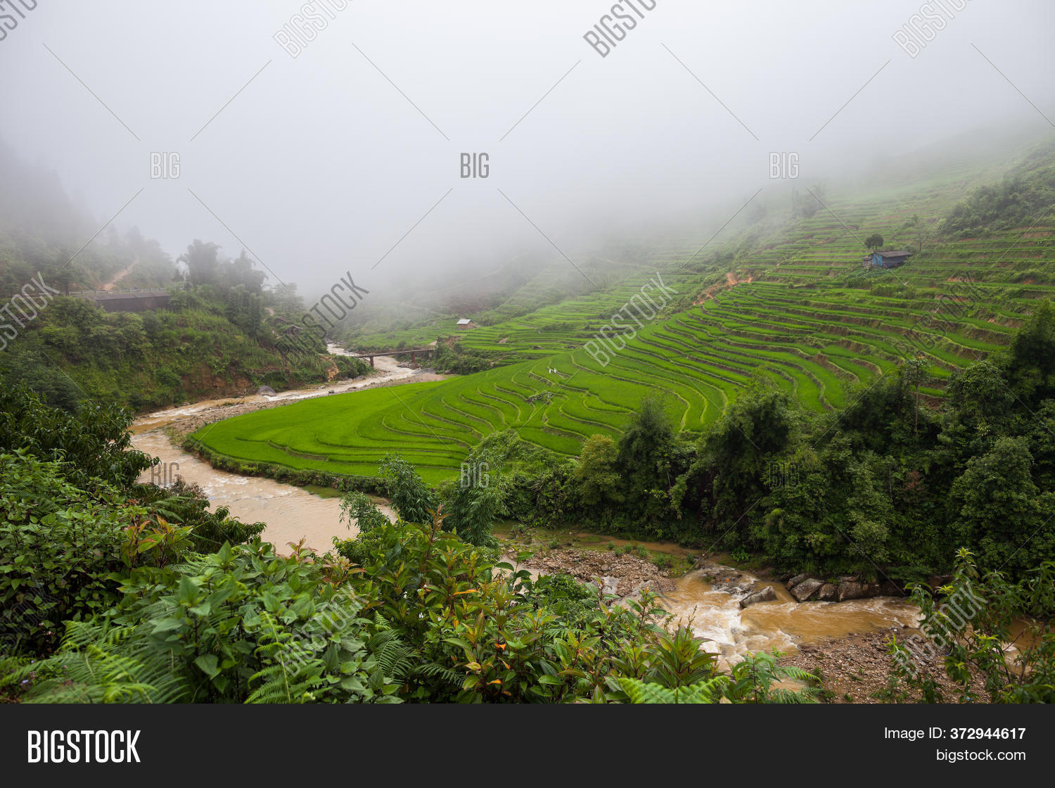 Green Rice Terrace On Image & Photo (Free Trial) | Bigstock