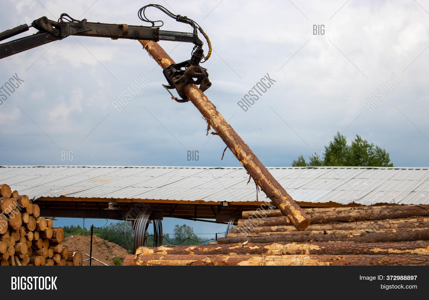 Logging, Sawmill. Image & Photo (Free Trial) | Bigstock