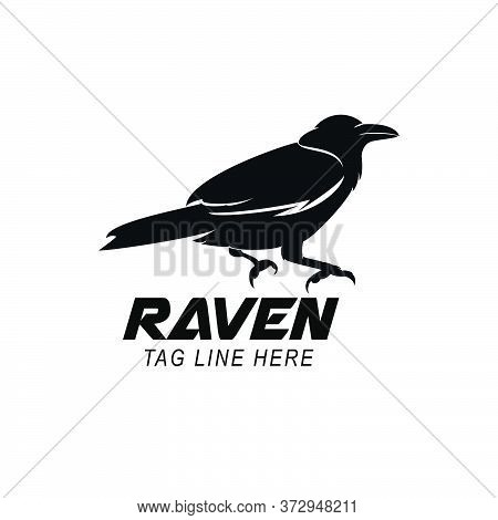 Raven Logo Design Vector & Photo (Free Trial) | Bigstock