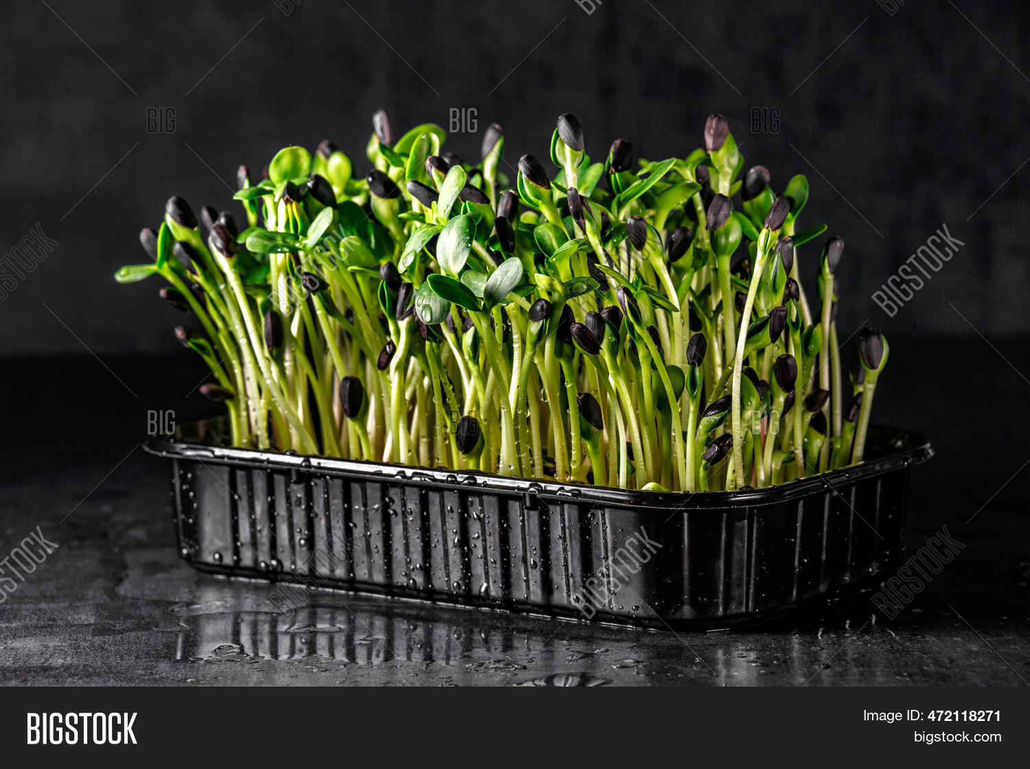 Microgreen Plastic Image & Photo (Free Trial) | Bigstock