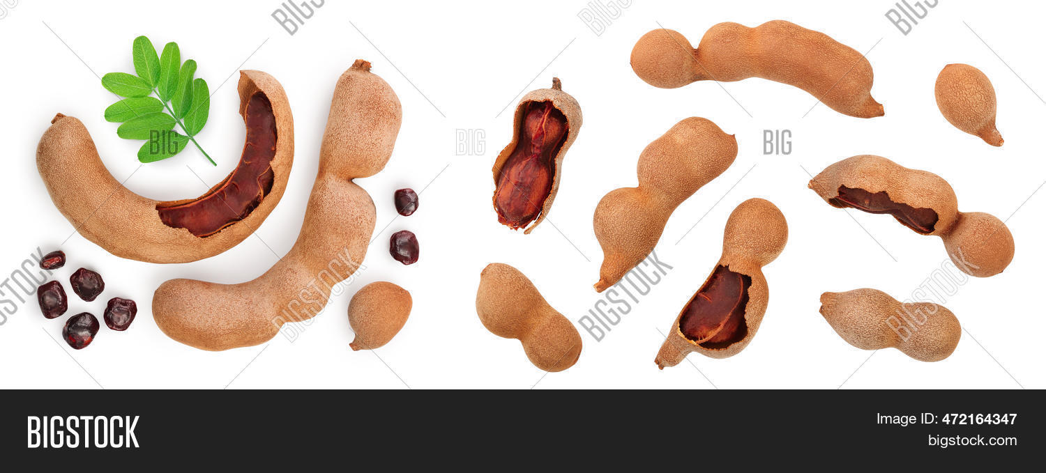 Tamarind Fruit Seed Image & Photo (Free Trial) | Bigstock