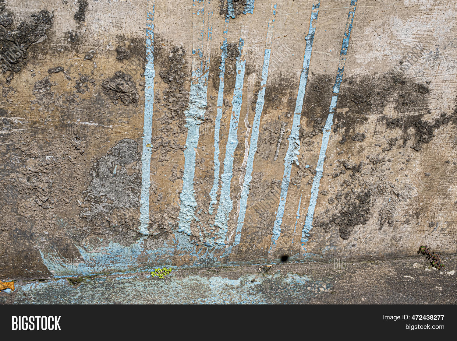 Tan Concrete Wall Image & Photo (Free Trial) | Bigstock