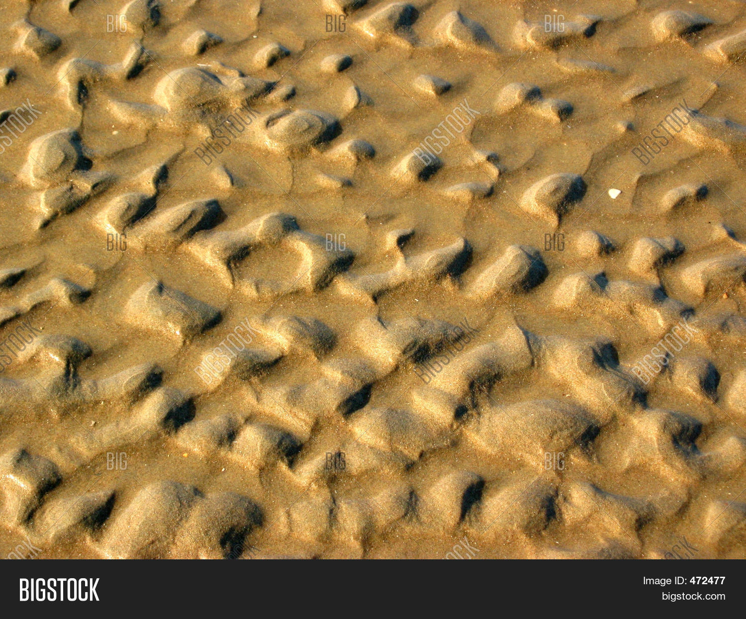 Beach Texture Image & Photo (Free Trial) | Bigstock