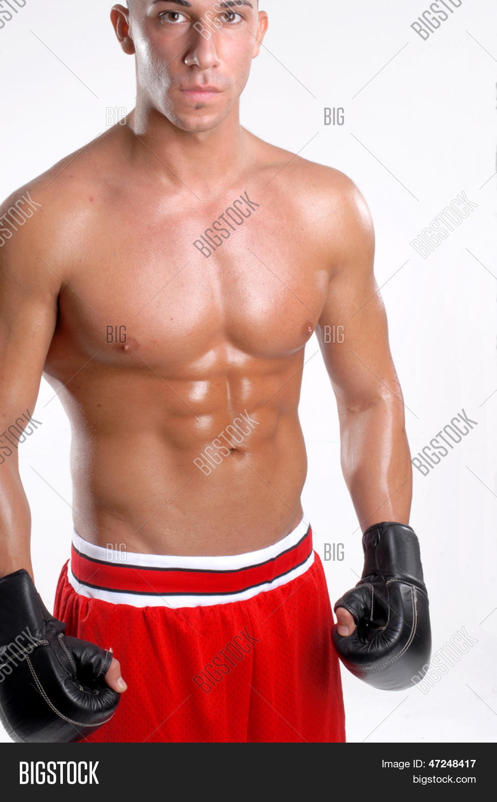Strong Boxer Portrait Image & Photo (Free Trial) | Bigstock