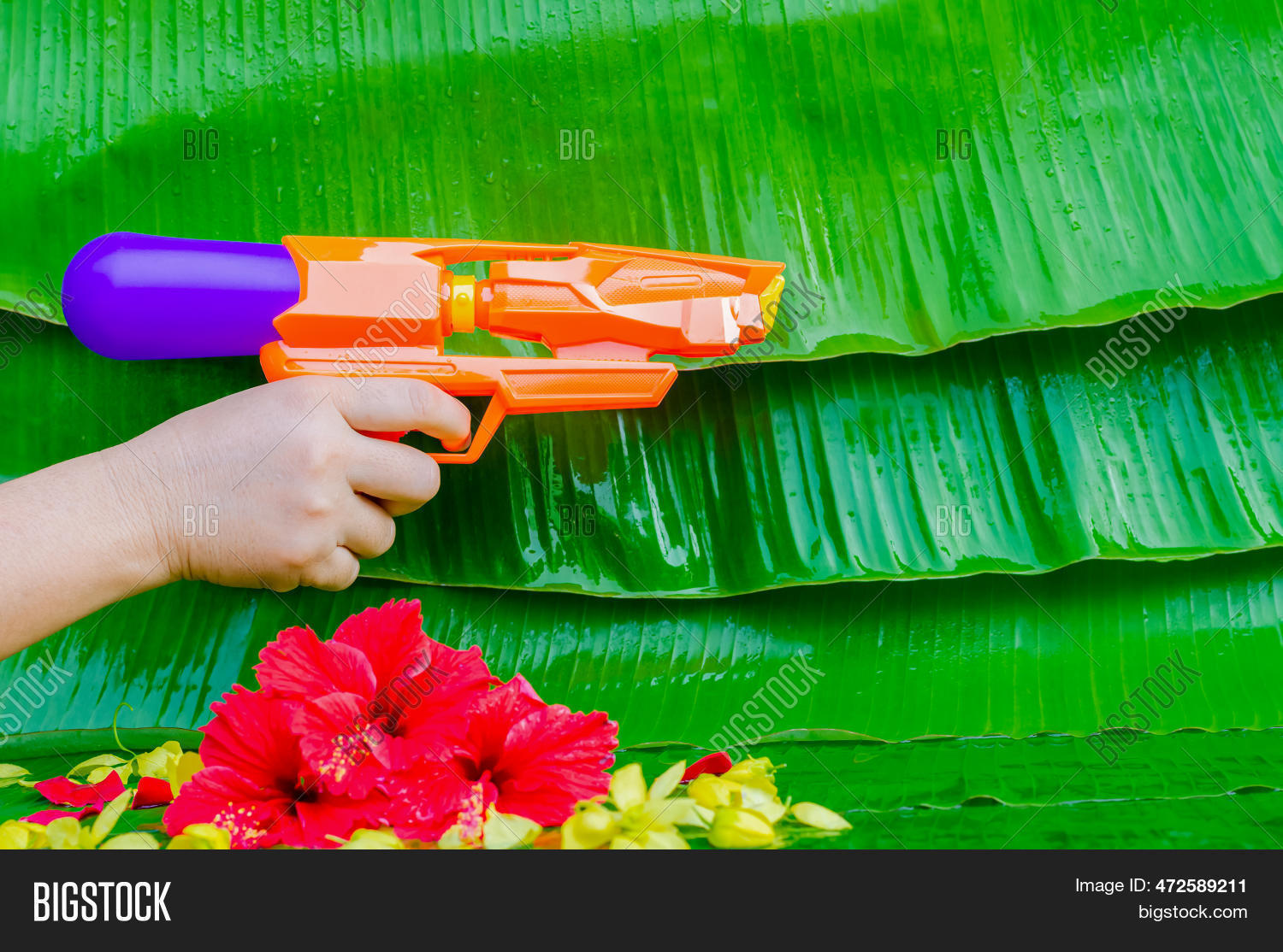 Hand Holding Water Gun Image & Photo (Free Trial) | Bigstock