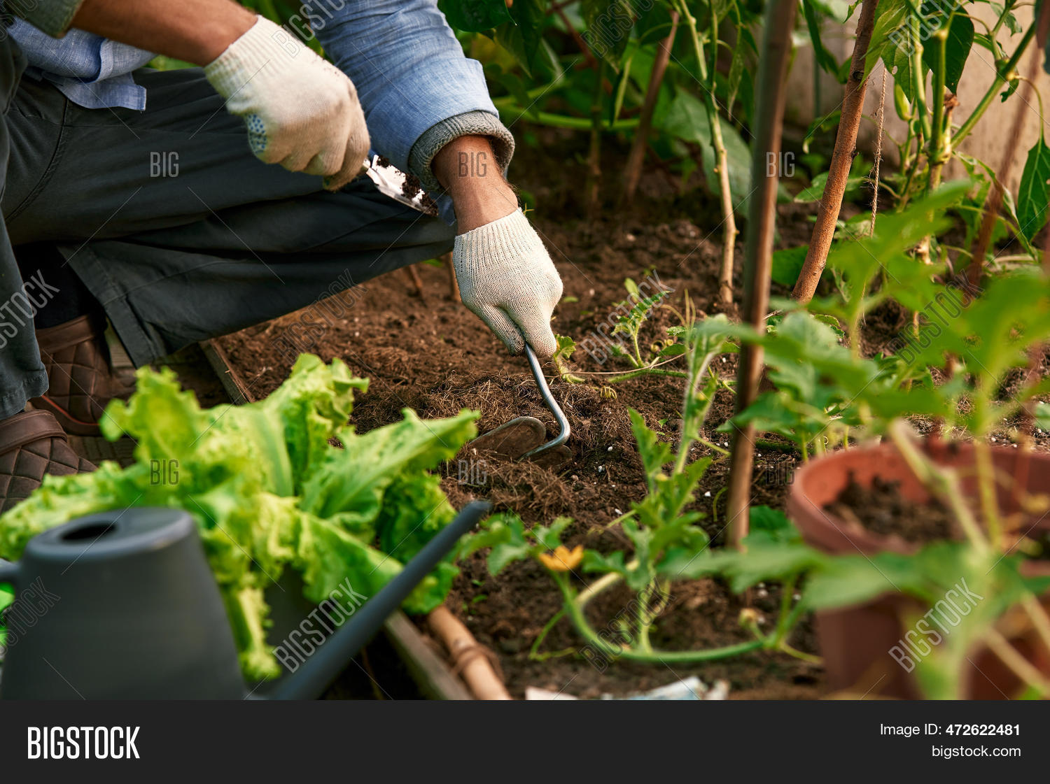 Farmer Gloves On His Image & Photo (Free Trial) | Bigstock