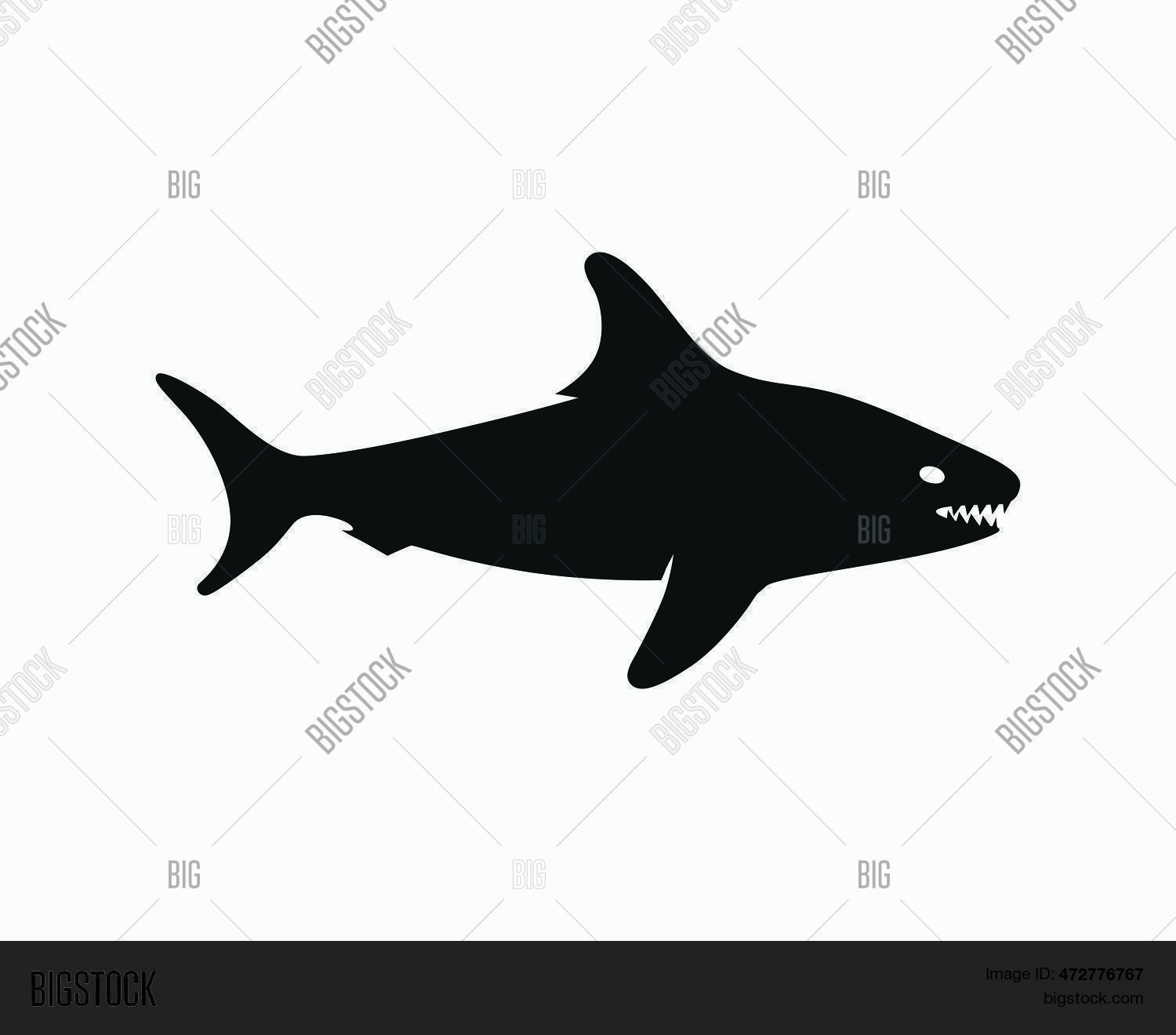 Shark Icon Side View Vector & Photo (Free Trial) | Bigstock
