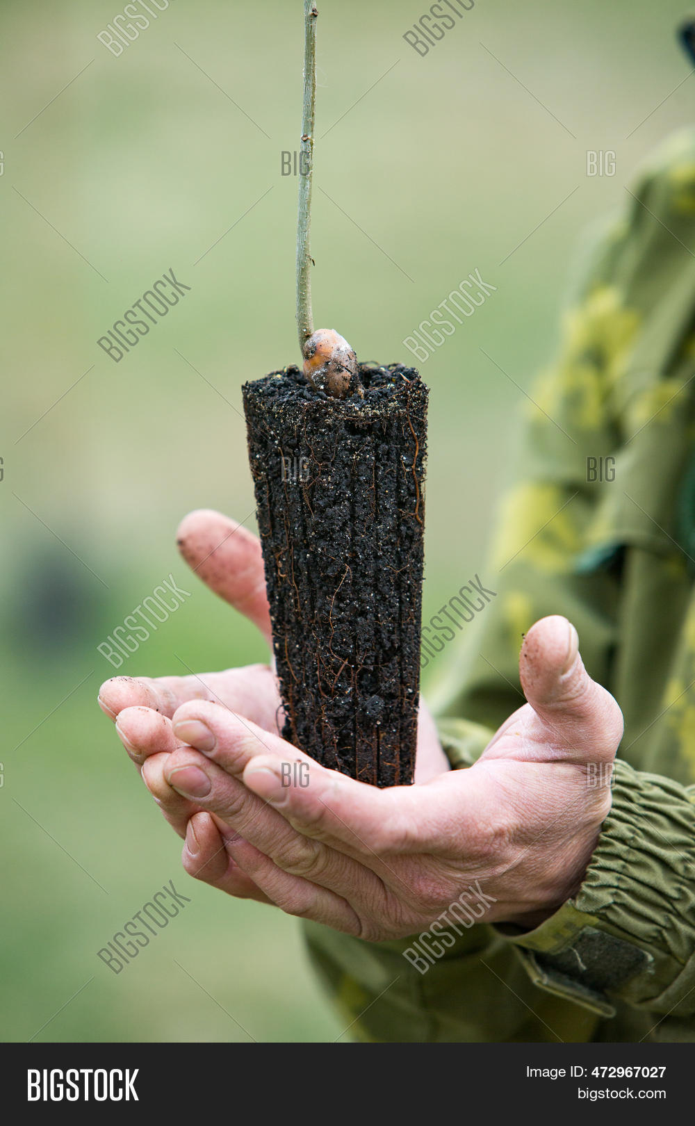 Closeup Hand Hold Image & Photo (Free Trial) | Bigstock
