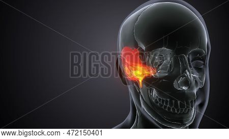 3d Render Human Image & Photo (Free Trial) | Bigstock