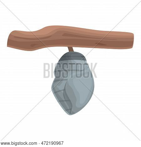 Life Cocoon Icon Vector & Photo (Free Trial) | Bigstock