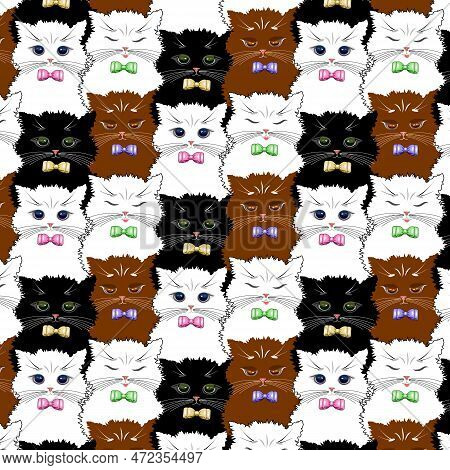 Multi-colored Cats Vector & Photo (Free Trial) | Bigstock