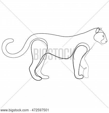 Panther Continuous Vector & Photo (Free Trial) | Bigstock