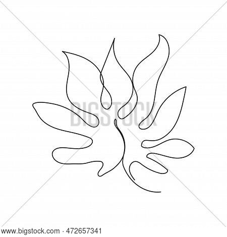 Philodendron Elegant Vector & Photo (Free Trial) | Bigstock