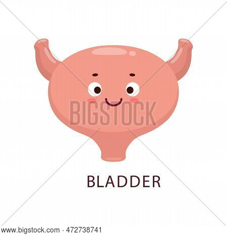 Cartoon Bladder, Vector & Photo (Free Trial) | Bigstock