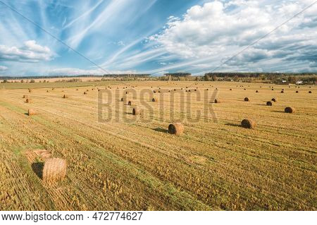 Hay Field Images, Illustrations & Vectors (Free) - Bigstock