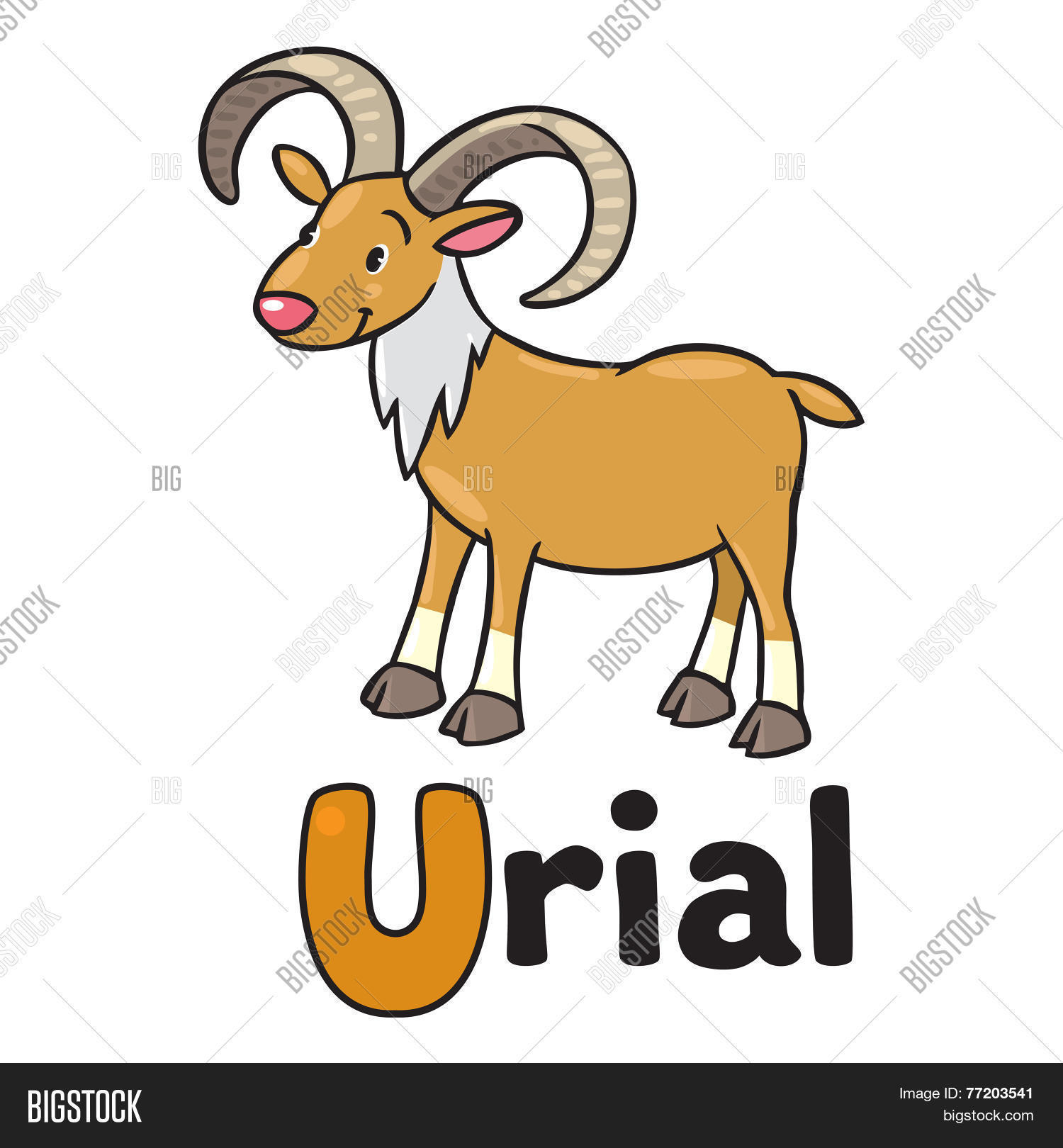 Vector y foto Little Funny Urial (prueba gratis) | Bigstock