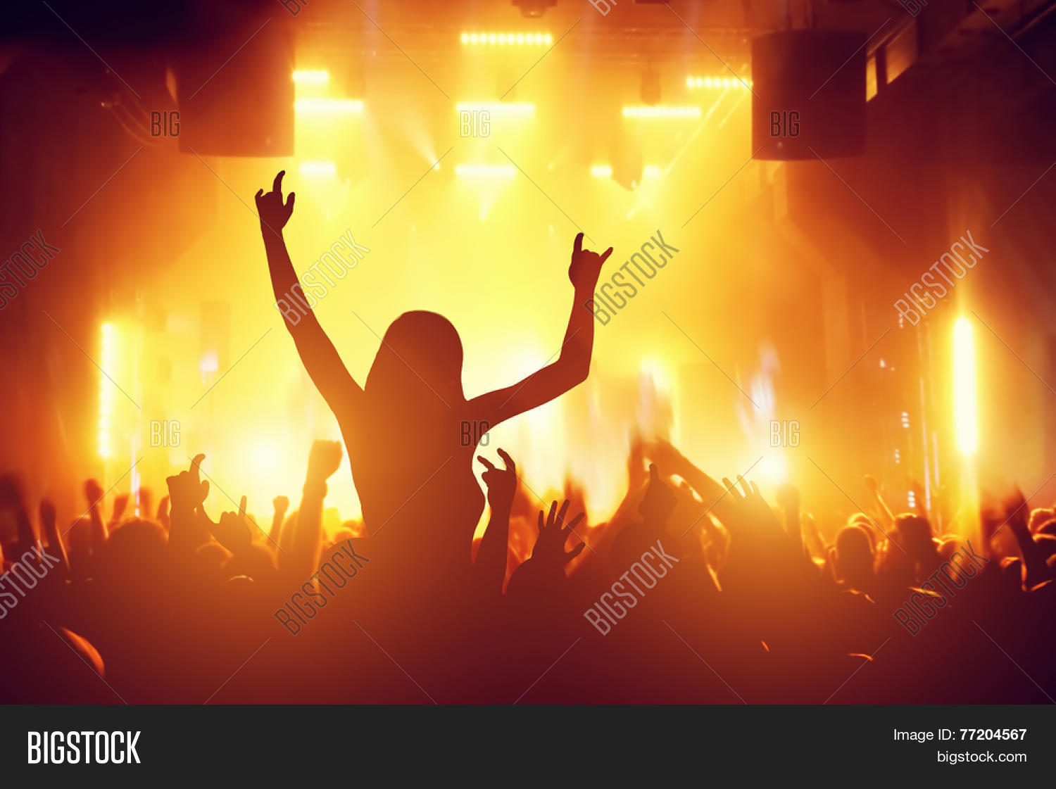 Concert, Disco Party. Image & Photo (Free Trial) | Bigstock