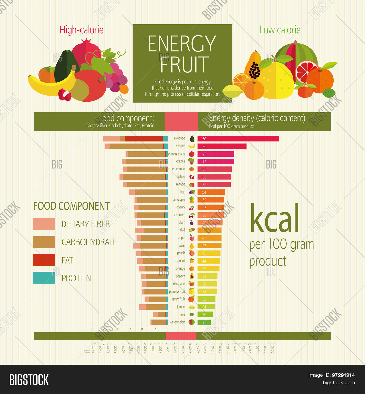 Basics Dietary Vector & Photo (Free Trial) | Bigstock