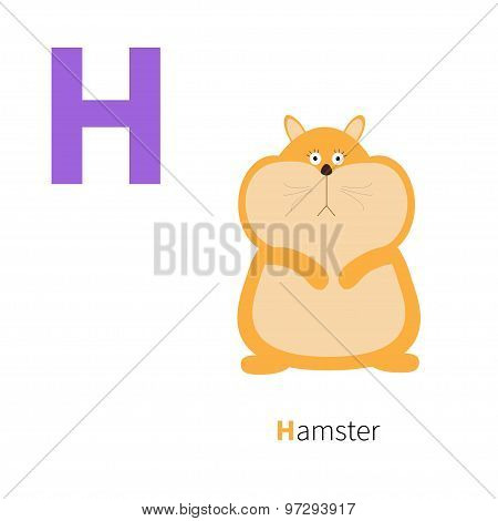 Letter H Hamster Zoo Vector & Photo (Free Trial) | Bigstock