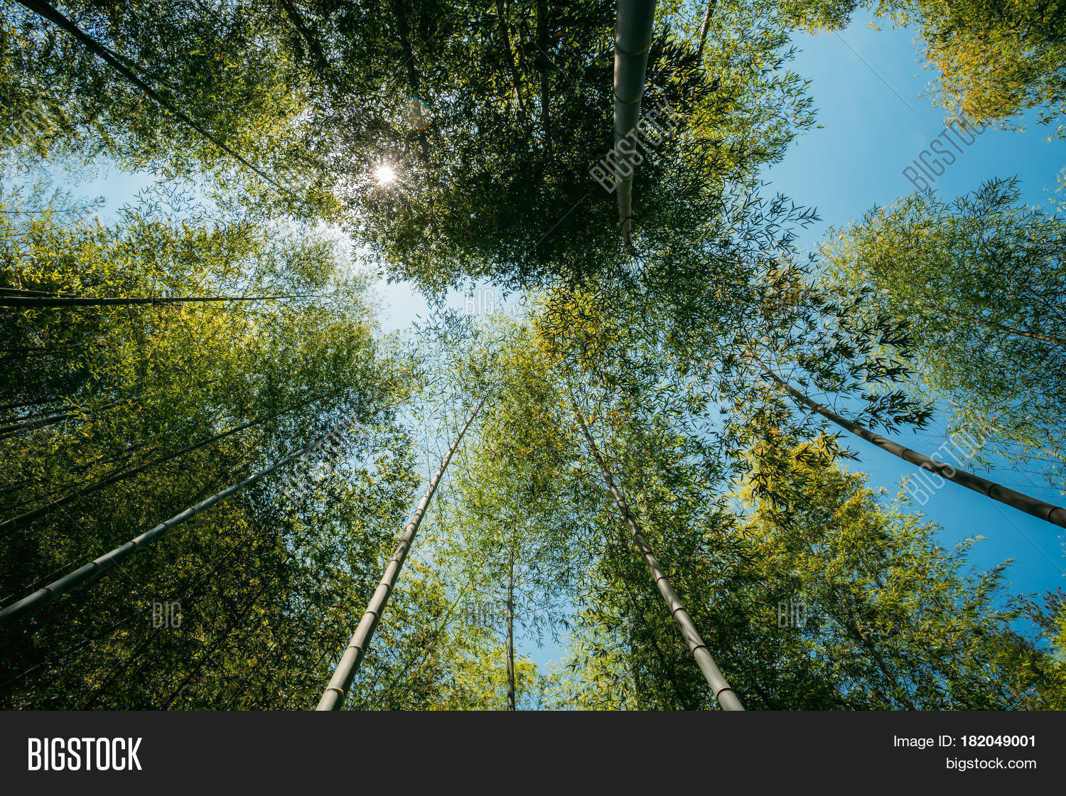Spring Sun Shining Image & Photo (Free Trial) | Bigstock