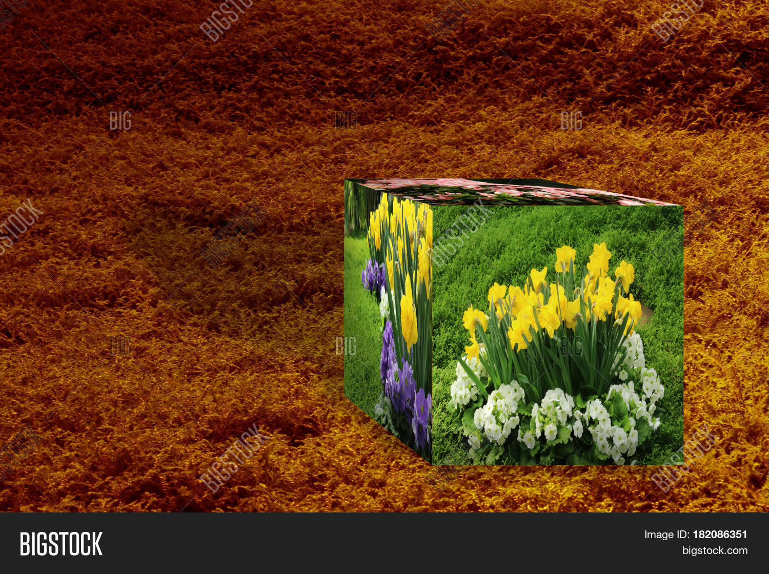 3D Cube Flower, Image & Photo (Free Trial) | Bigstock