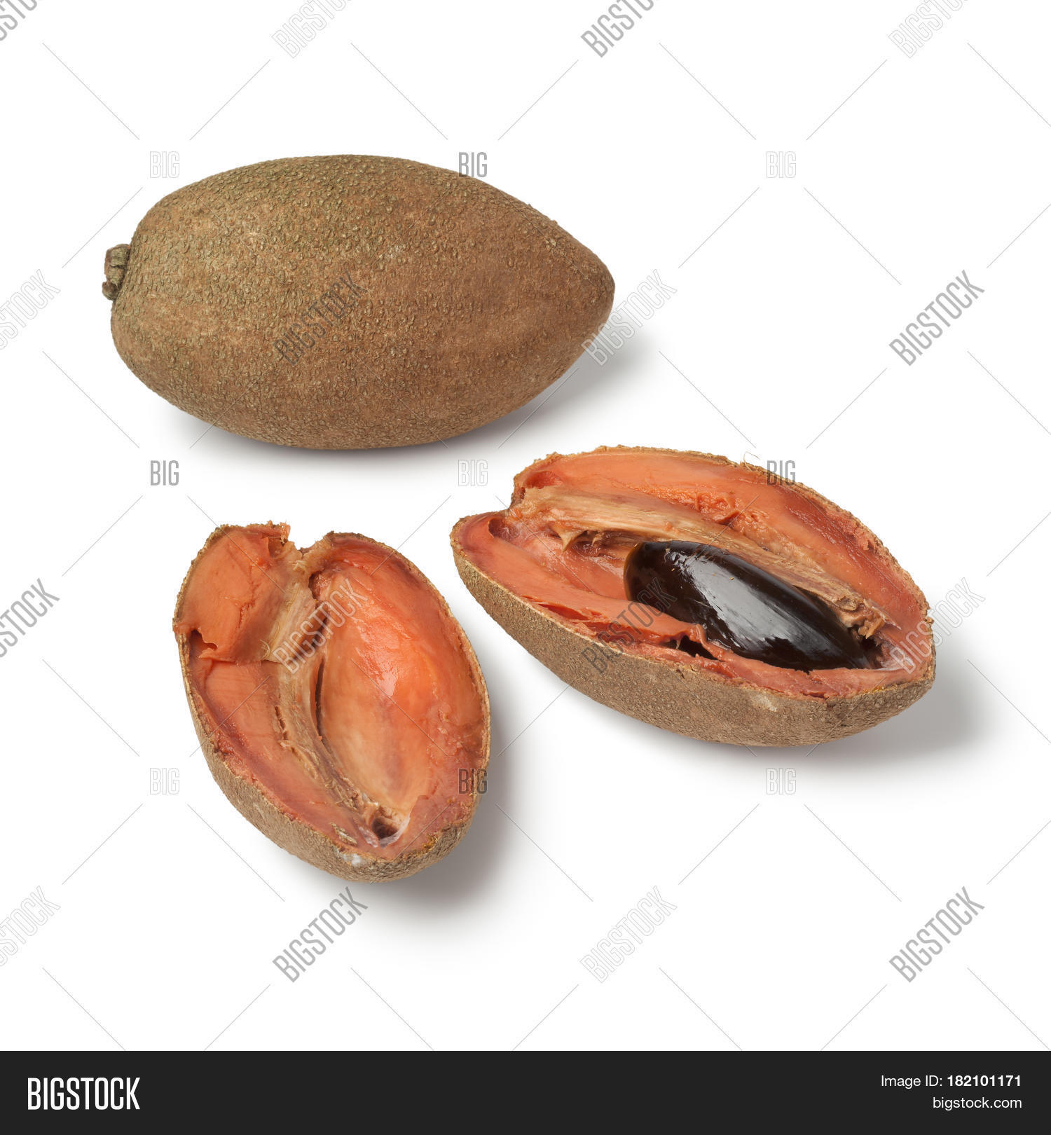 Fresh Ripe Sapodilla Image & Photo (Free Trial) | Bigstock