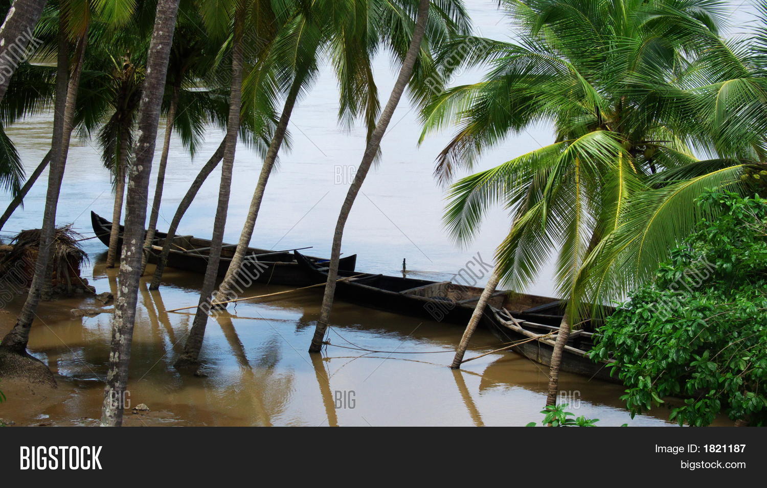 Rainy Kerala Image & Photo (Free Trial) | Bigstock