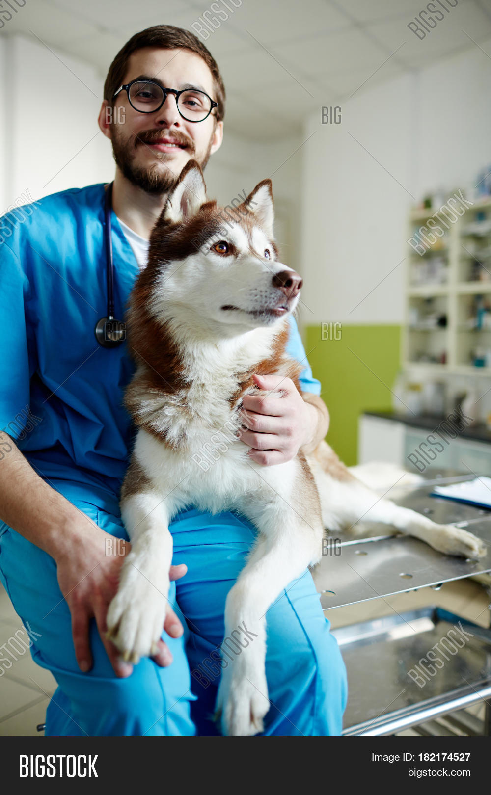 Vet Uniform His Image & Photo (Free Trial) | Bigstock