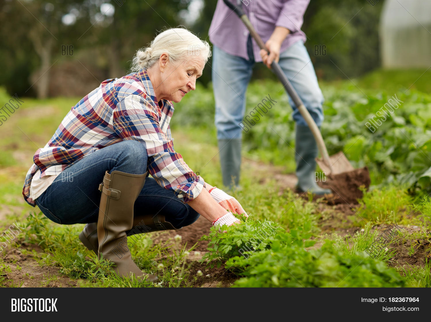 Farming, Gardening, Image & Photo (Free Trial) | Bigstock