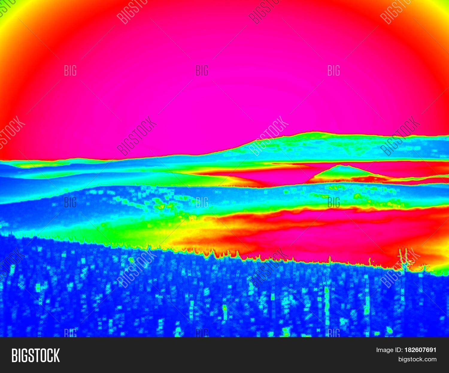 Animal Infrared View. Image & Photo (Free Trial) | Bigstock