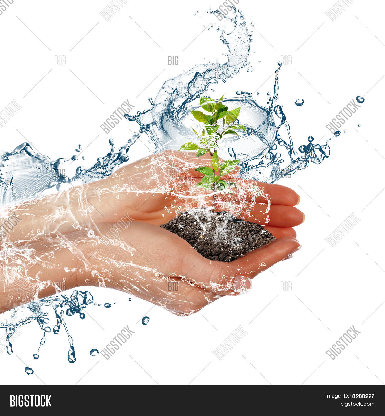 Young Sprout Human Image & Photo (Free Trial) | Bigstock