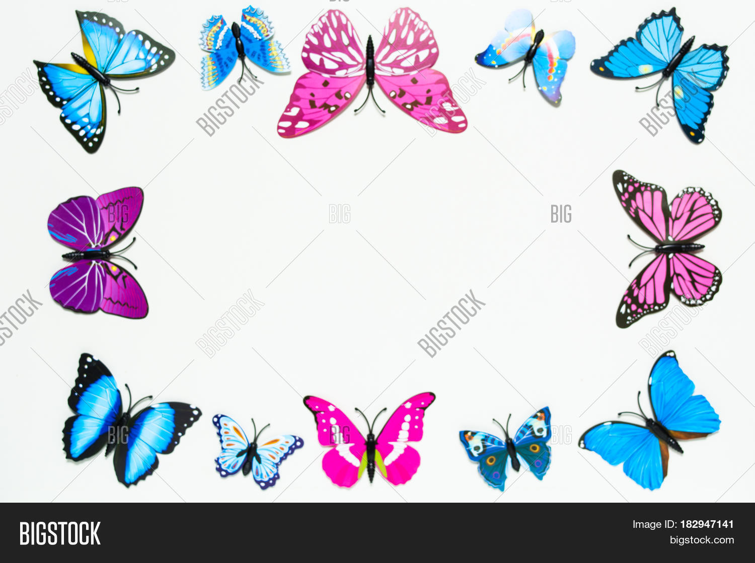 Butterfly Frame Image & Photo (Free Trial) | Bigstock