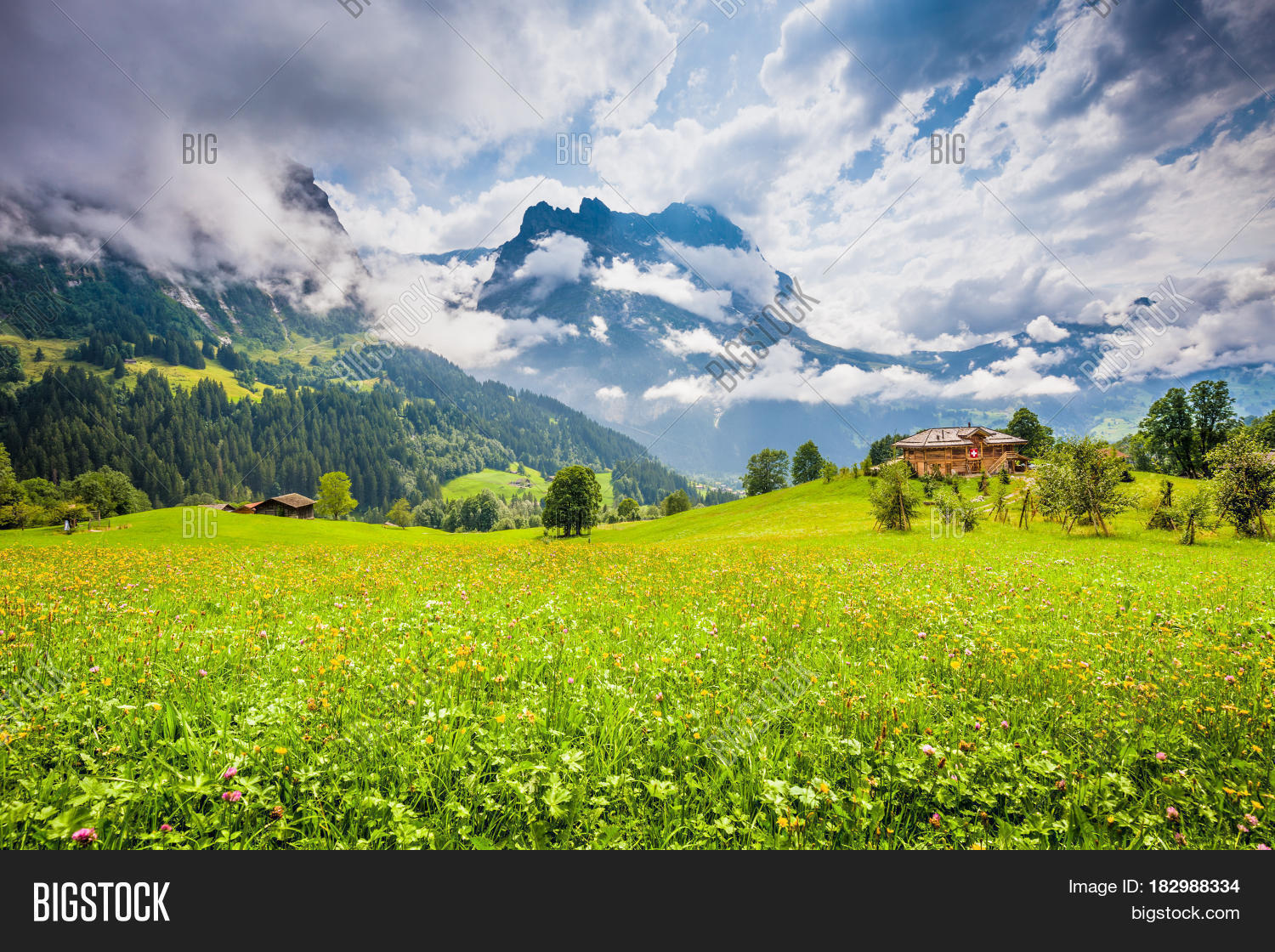 Alpine Scenery Image & Photo (Free Trial) | Bigstock