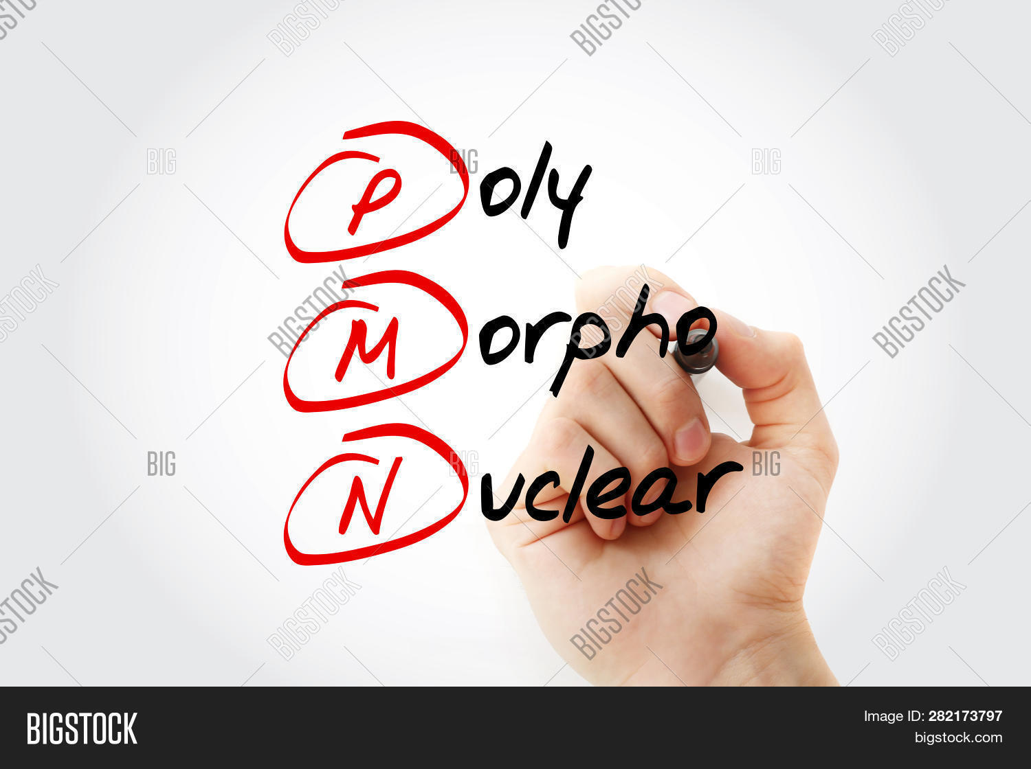 Pmn - Image & Photo (Free Trial) | Bigstock