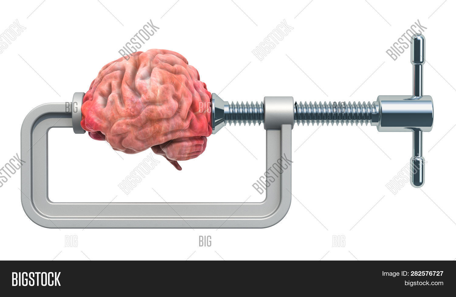 Vise Human Brain. Image & Photo (Free Trial) | Bigstock