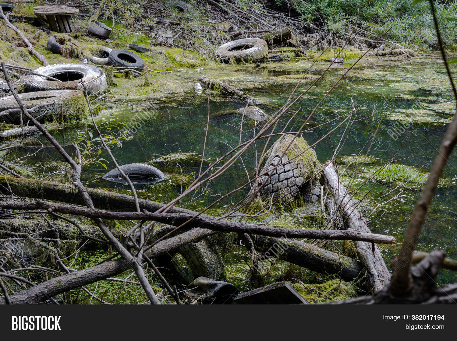Contaminated Lake. Image & Photo (Free Trial) | Bigstock