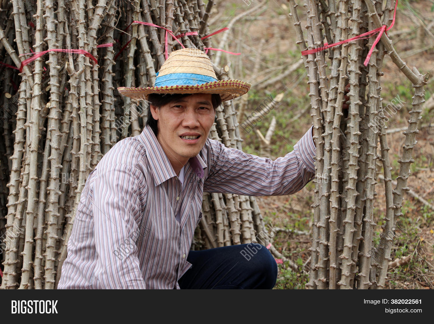 Male Farmer Sitting Image & Photo (Free Trial) | Bigstock