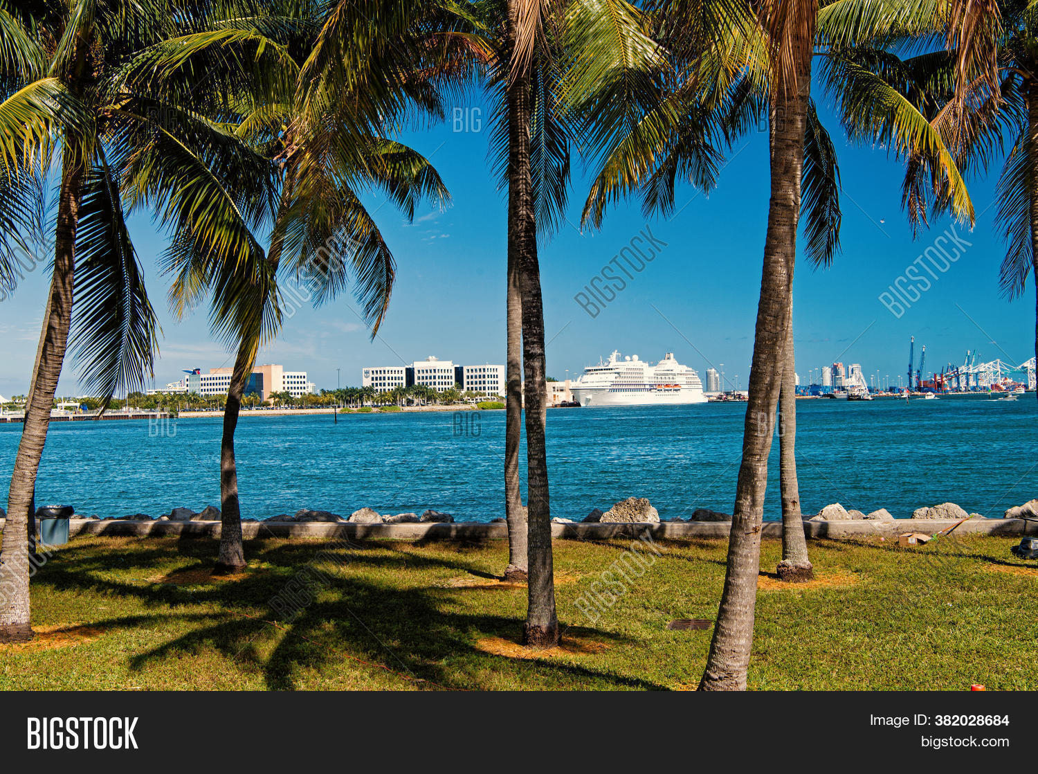 Miami, Usa - February Image & Photo (Free Trial) | Bigstock