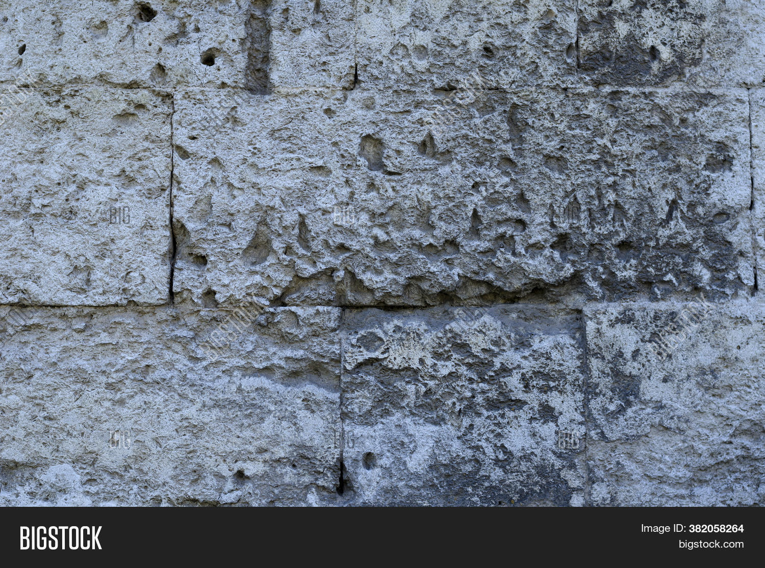 Antique Shell Stone Image & Photo (Free Trial) | Bigstock