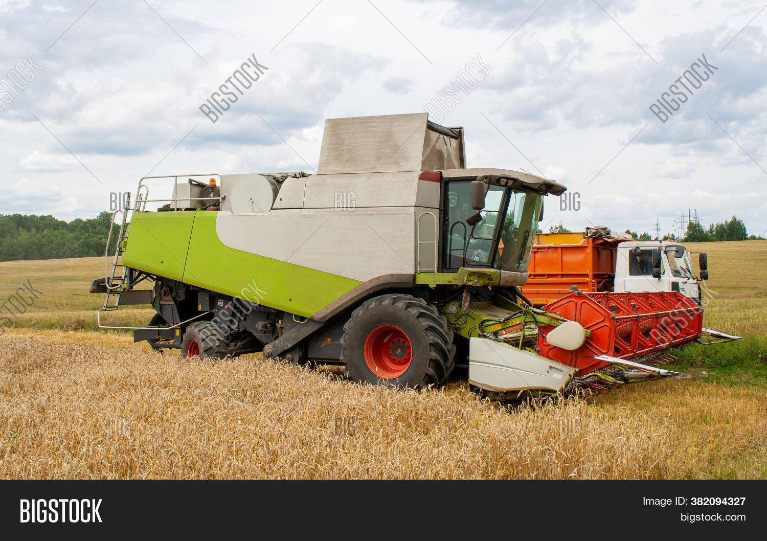 Collecting Wheat Grain Image & Photo (Free Trial) | Bigstock