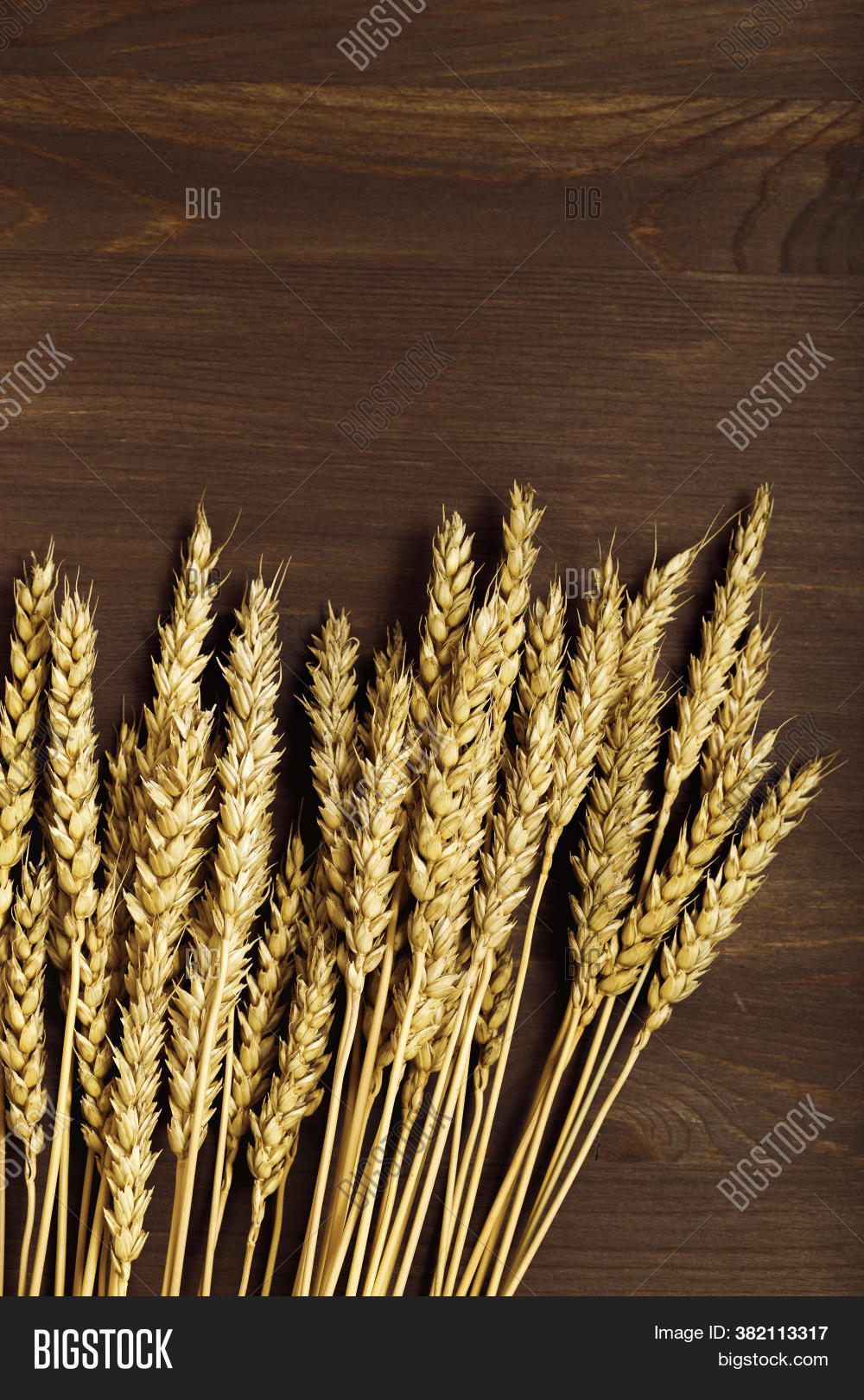 Spike Wheat Close . Image & Photo (Free Trial) | Bigstock