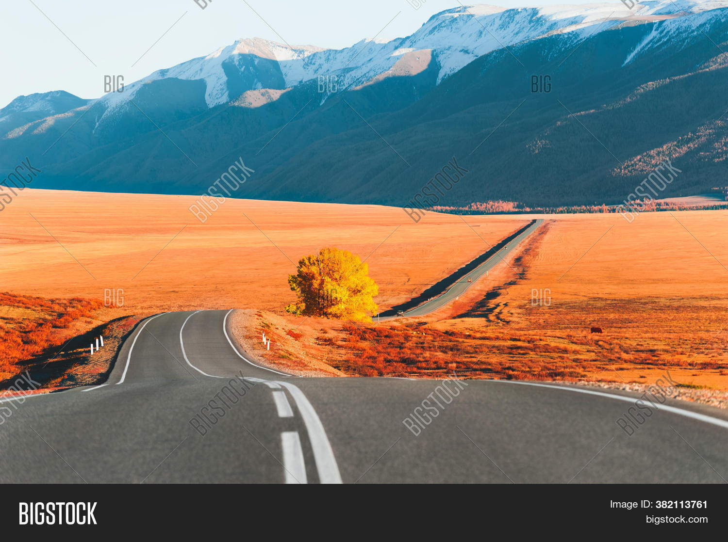 Beautiful Road Yellow Image & Photo (Free Trial) | Bigstock