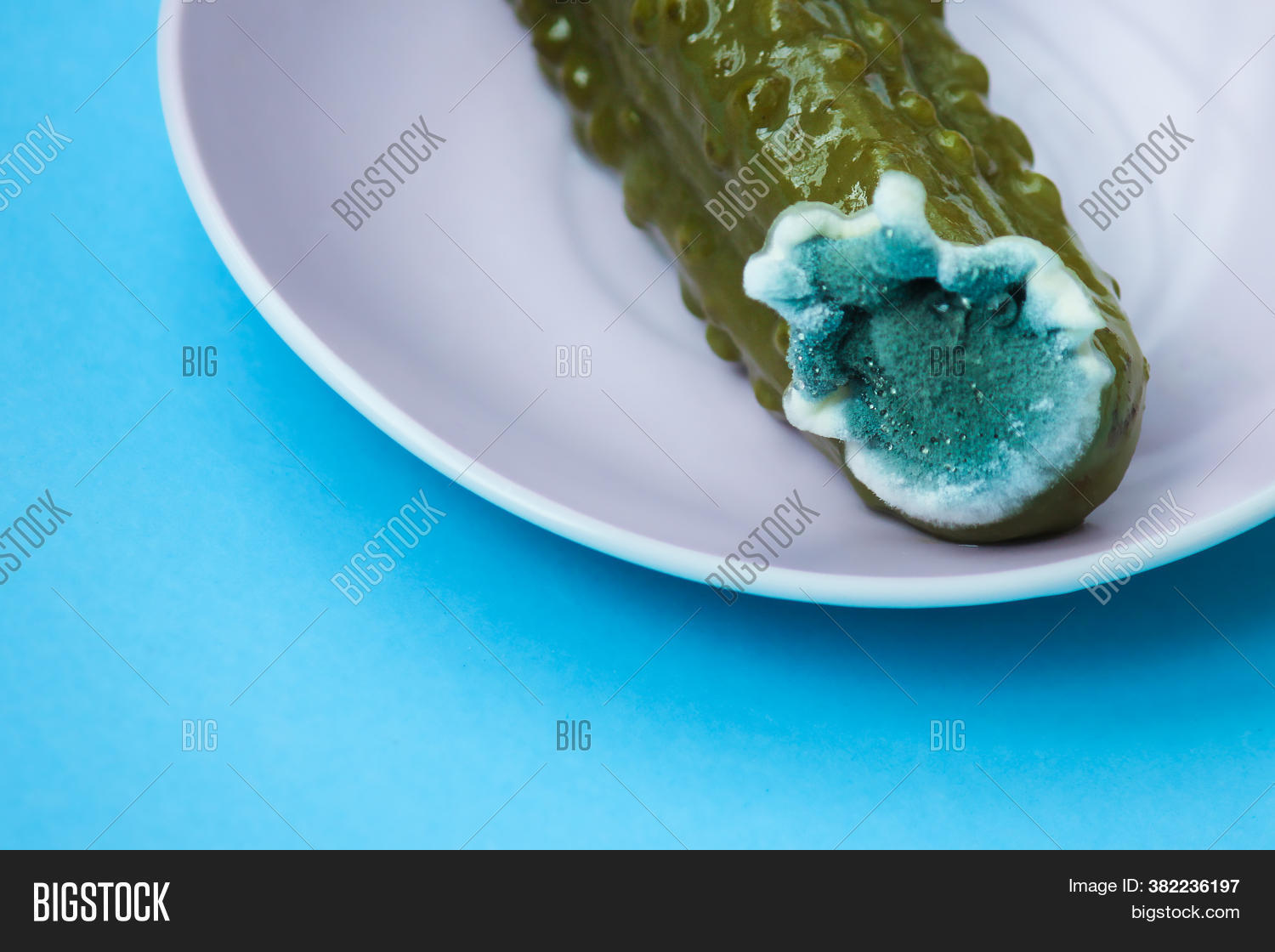 Close- Photo Blue Mold Image & Photo (Free Trial) | Bigstock