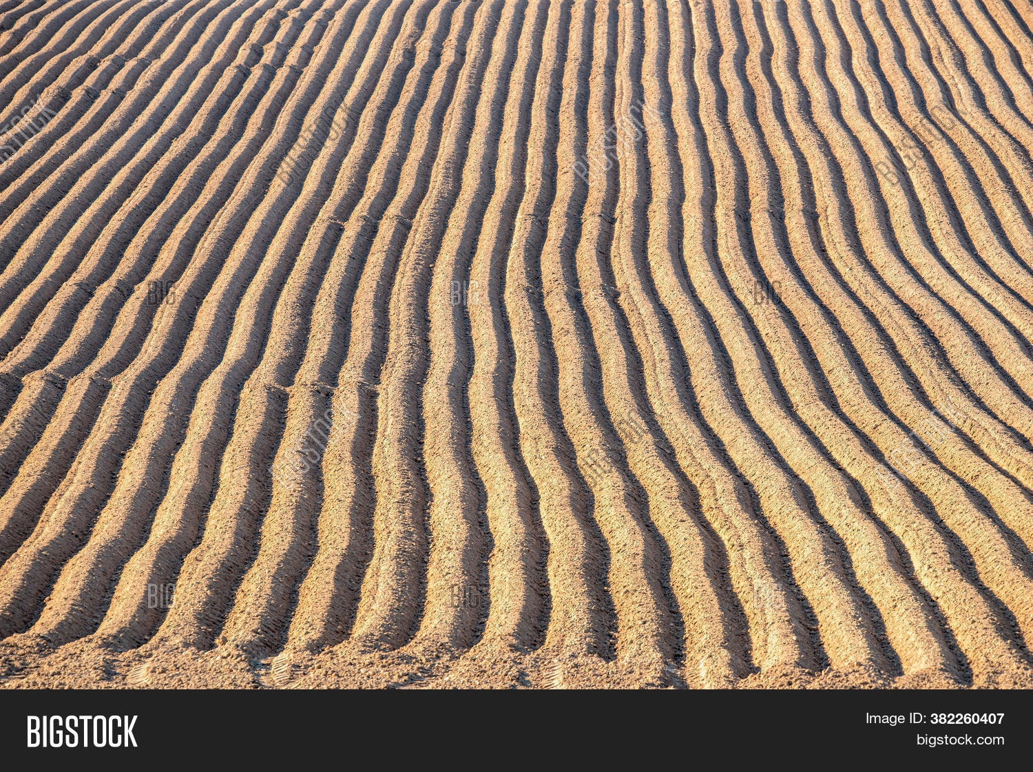 Furrows Row Pattern Image & Photo (Free Trial) | Bigstock