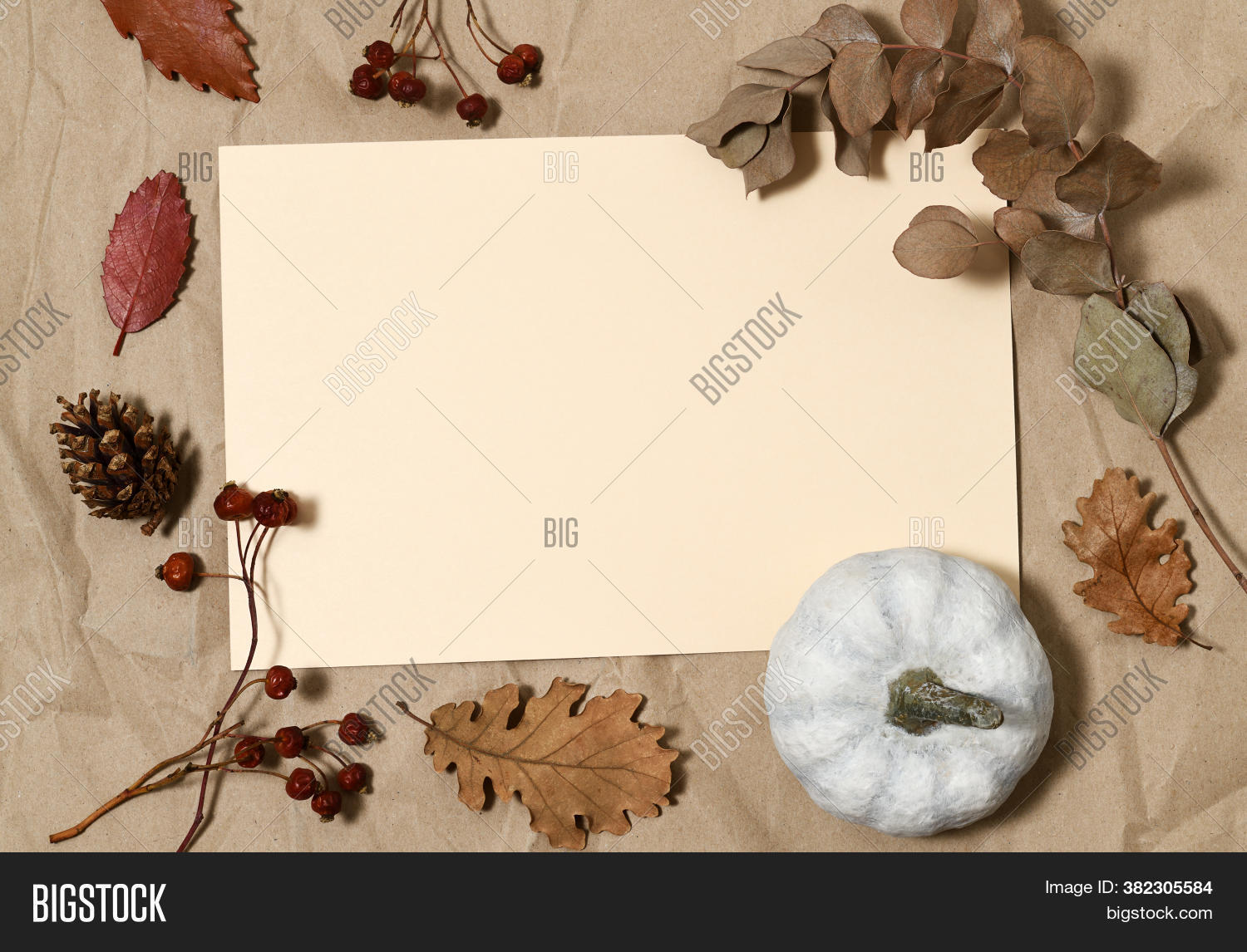 Beige Card White Image & Photo (Free Trial) | Bigstock