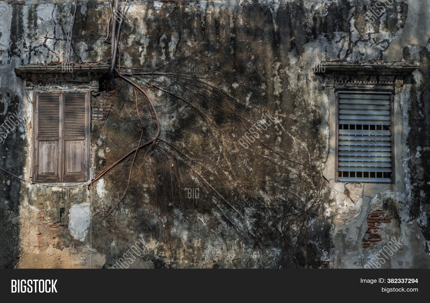 Old Wooden Windows On Image & Photo (Free Trial) | Bigstock