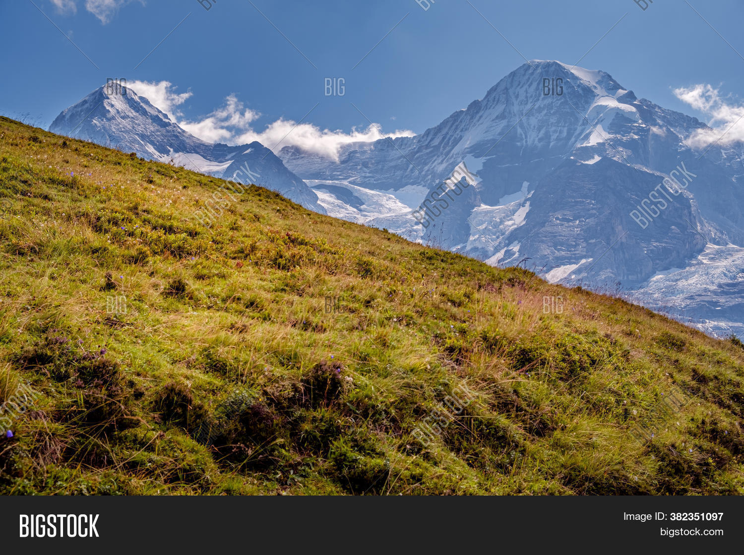 Alpine Pasture Image & Photo (Free Trial) | Bigstock