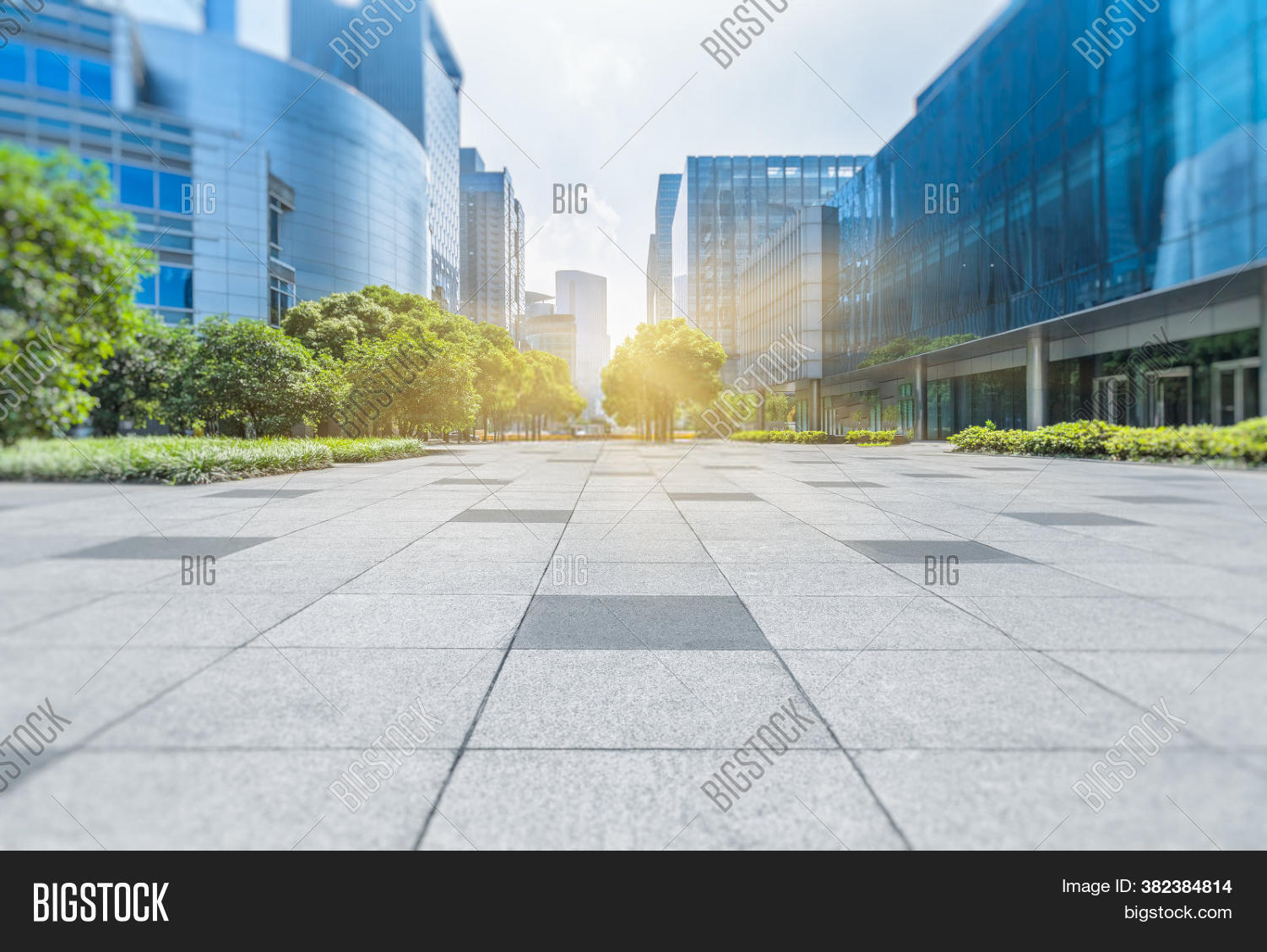 New Generation Image & Photo (Free Trial) | Bigstock